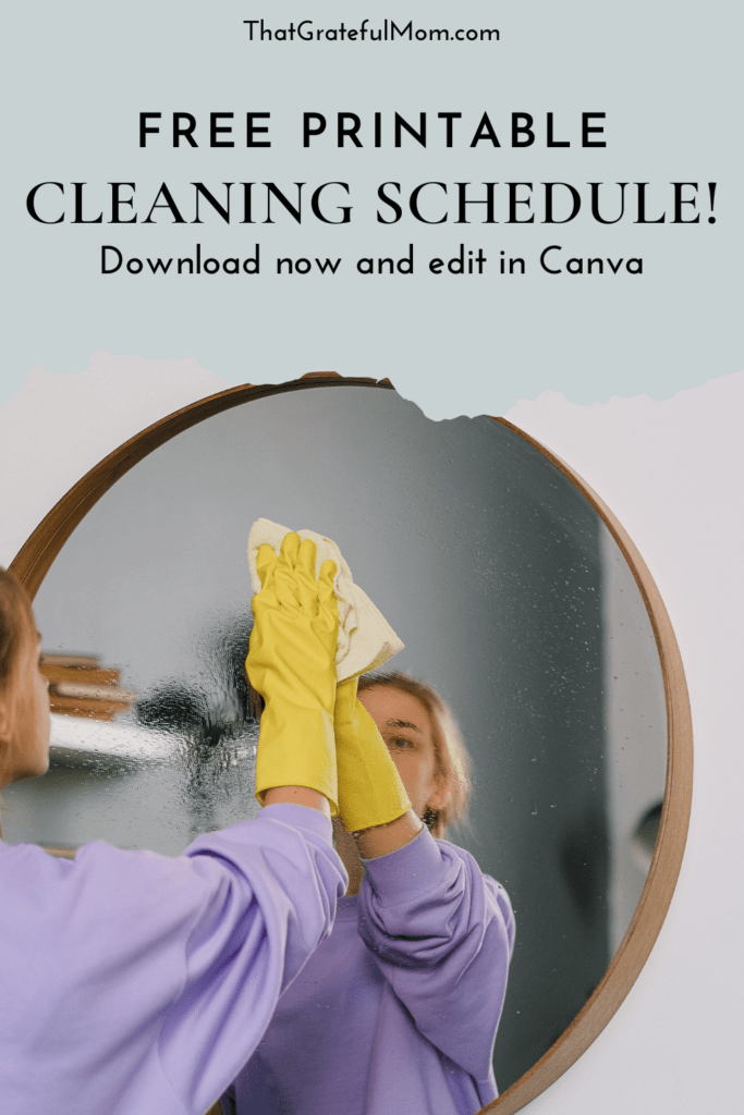 Grab 5 Free Printable Cleaning Schedules Today - That Grateful Mom