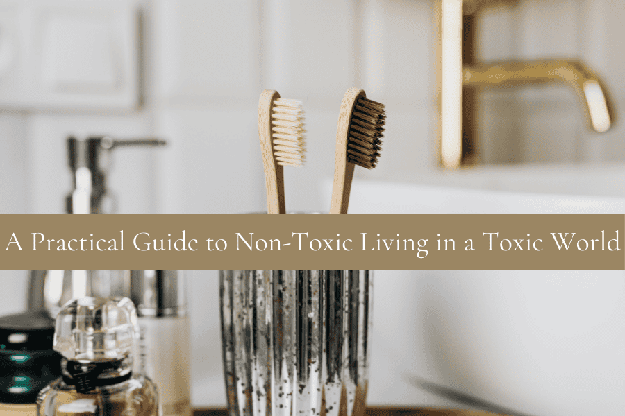 A Practical Guide to Non Toxic Living in a Toxic World - That Grateful Mom