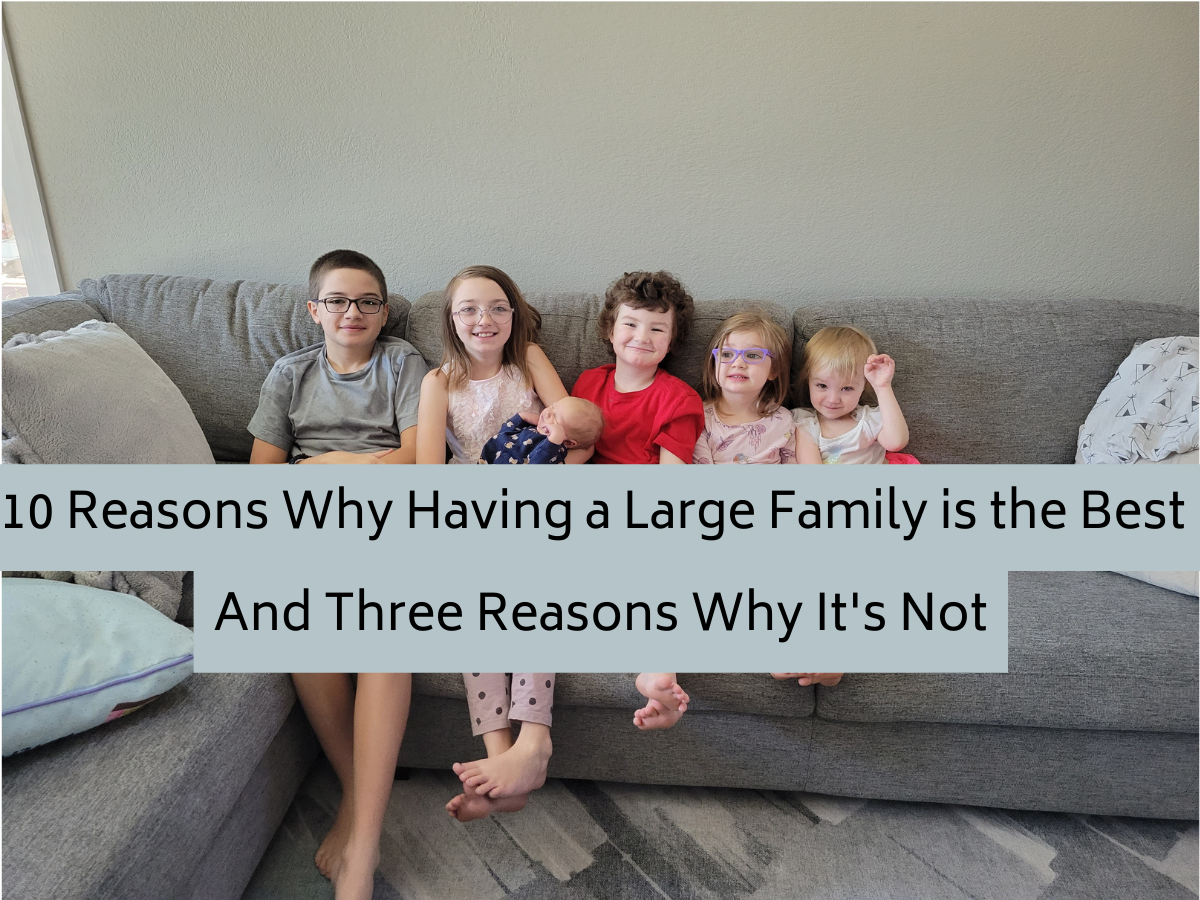 Ten Reasons Why Having a Large Family is the Best. (And 3 Reasons Why ...