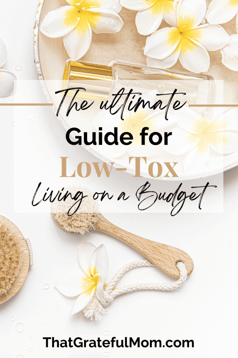 5 Easy Steps to a Low-Tox Lifestyle Today - That Grateful Mom