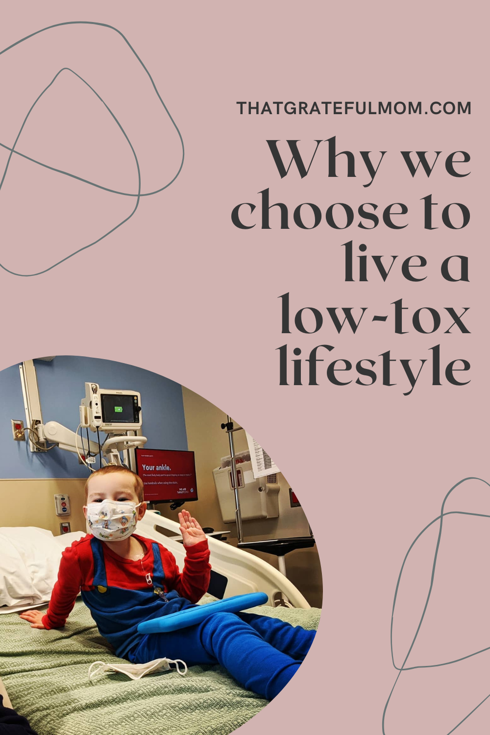 Why We Choose to Live a Low-Tox Lifestyle - That Grateful Mom