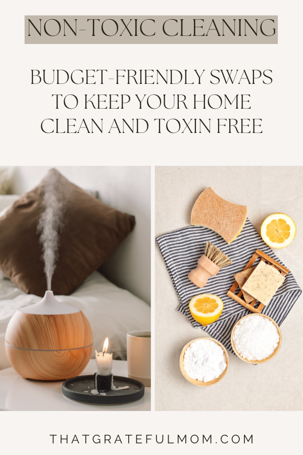 Budget Friendly Non-Toxic Cleaning Swaps - That Grateful Mom