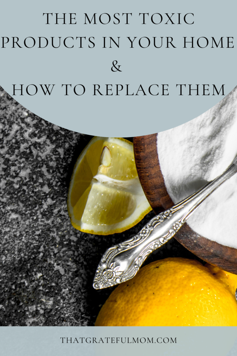The Most Toxic Products in Your Home and How to Replace Them - That ...
