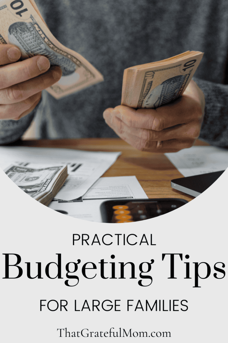 Practical Tips for Sticking to a Budget as a Large Family - That ...