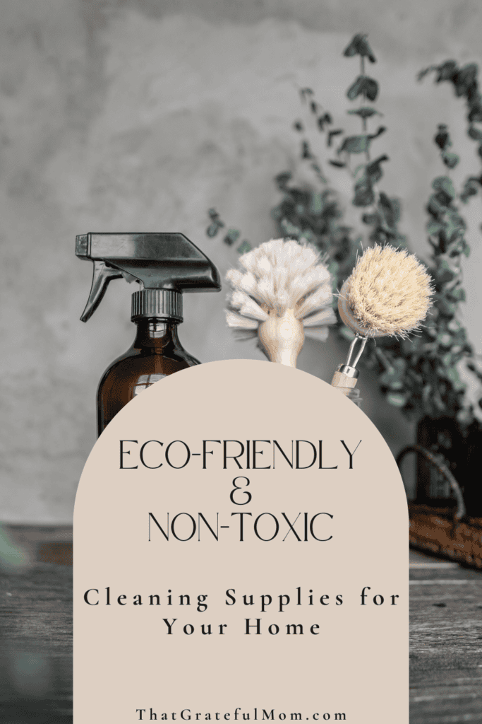 Eco-Friendly & Non-Toxic Cleaning Supplies for Your Home - That ...