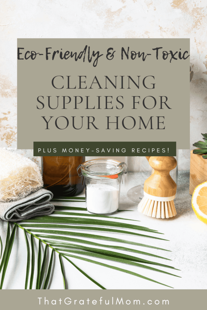 Eco-Friendly & Non-Toxic Cleaning Supplies for Your Home - That ...